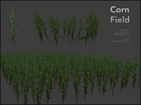 Corn field